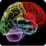 Working Memory Training Benefits « IN-HOME BRAIN TRAINING